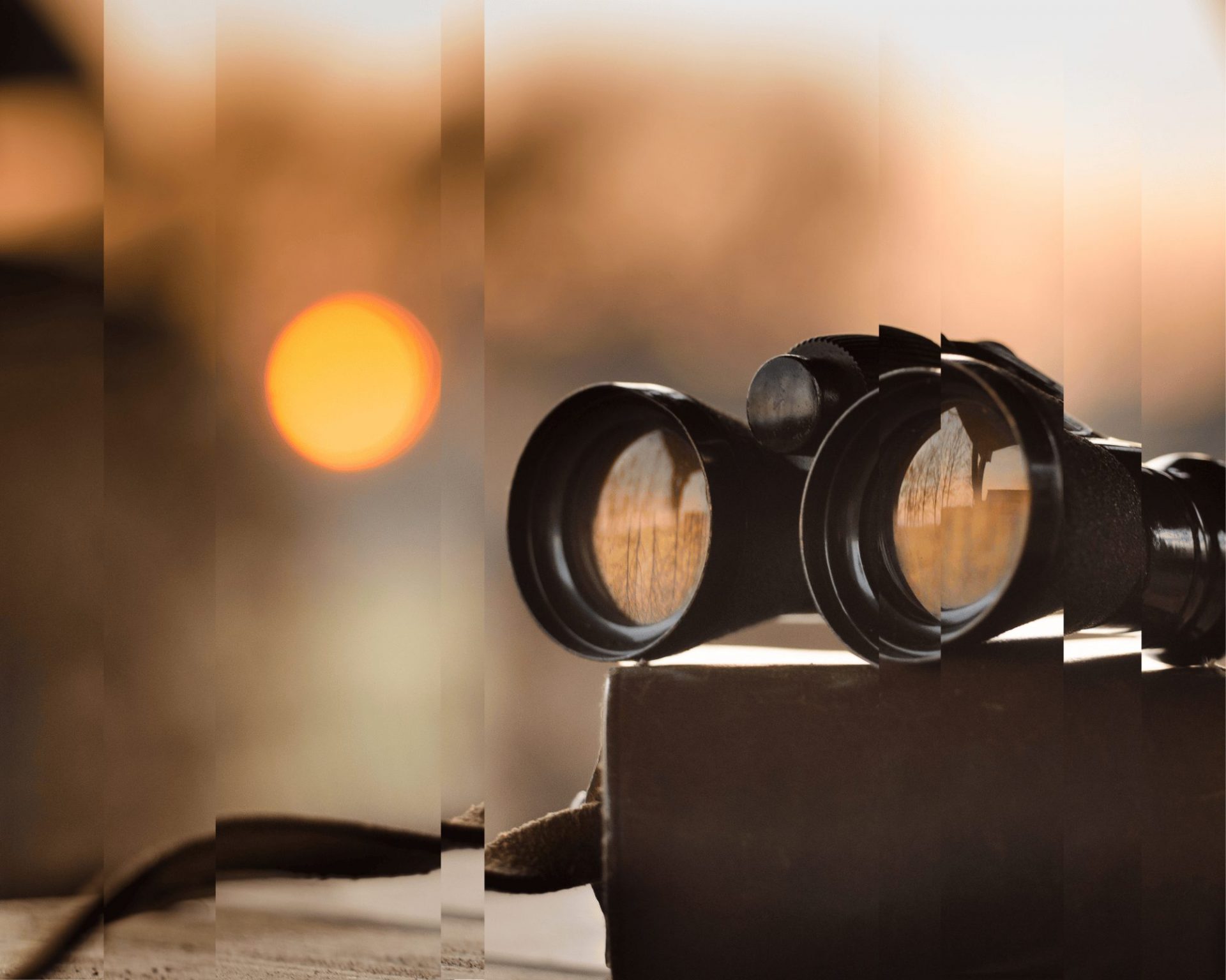 Navigating HMRC’s Investigatory Focus | Daysium